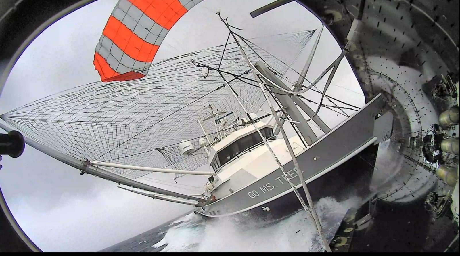 GO Ms. Tree Archives - Space Explored